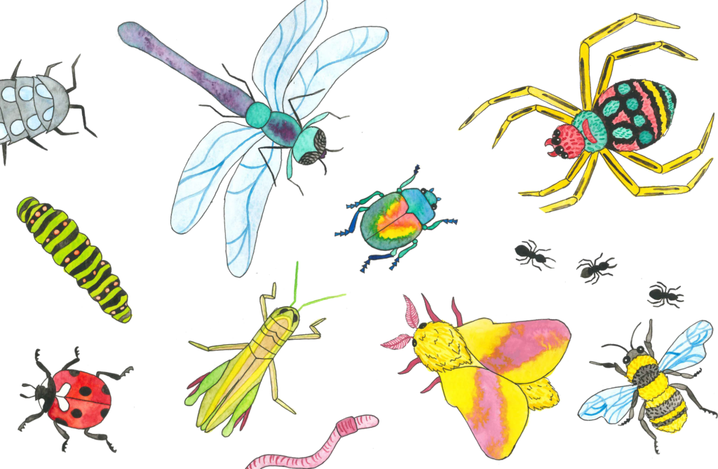 Bug Square – ADJACENT