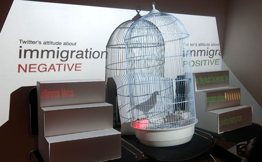 The invisible bird – ITP / IMA Winter Show 2018